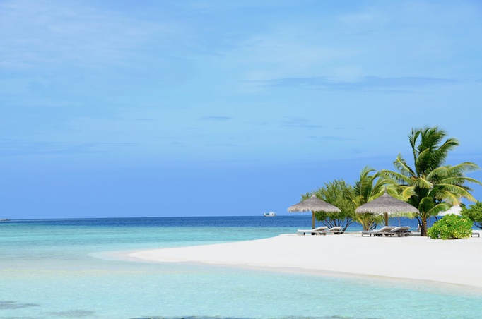 Maldives- Story behind the blend- The Tea Nomad